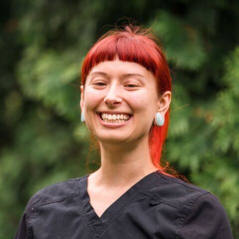 About West Suburban Animal Hospital | Vet In Toledo, OH